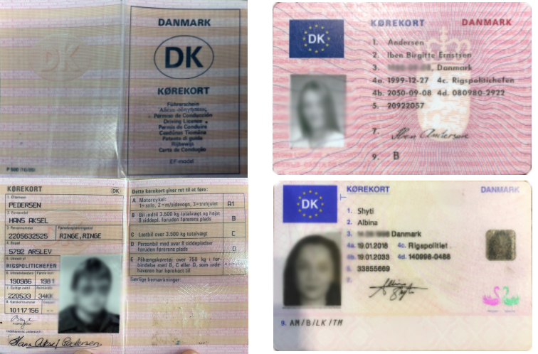 English to Danish International Driver’s License Translation Services ...