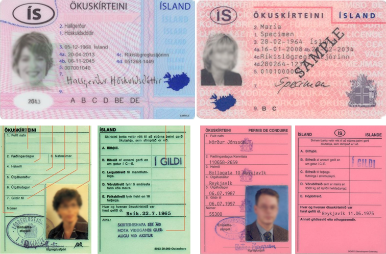 English to Icelandic International Driver’s License Translation ...
