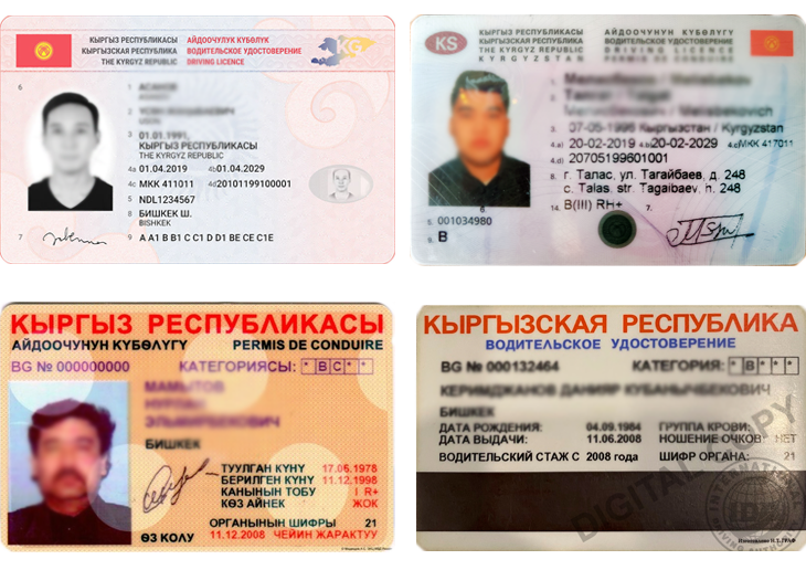 English to Kyrgyz International Driver’s License Translation Services ...