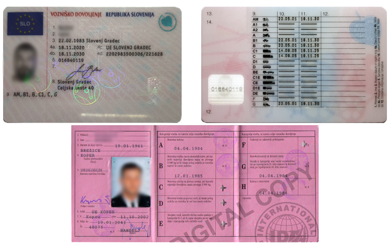 English to Slovenian International Driver’s License Translation ...